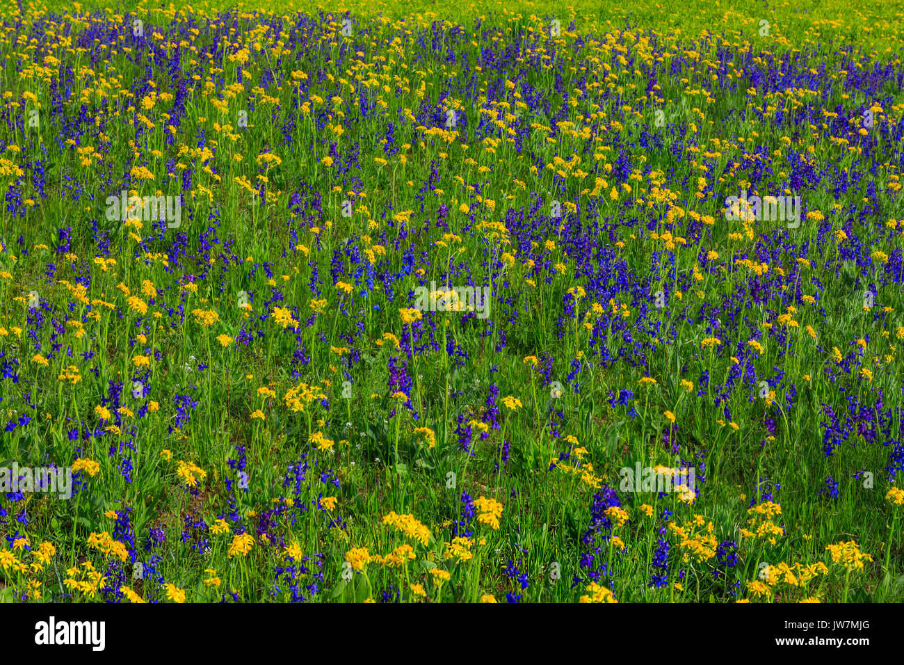 Soapstone Basin High Resolution Stock Photography and Images - Alamy