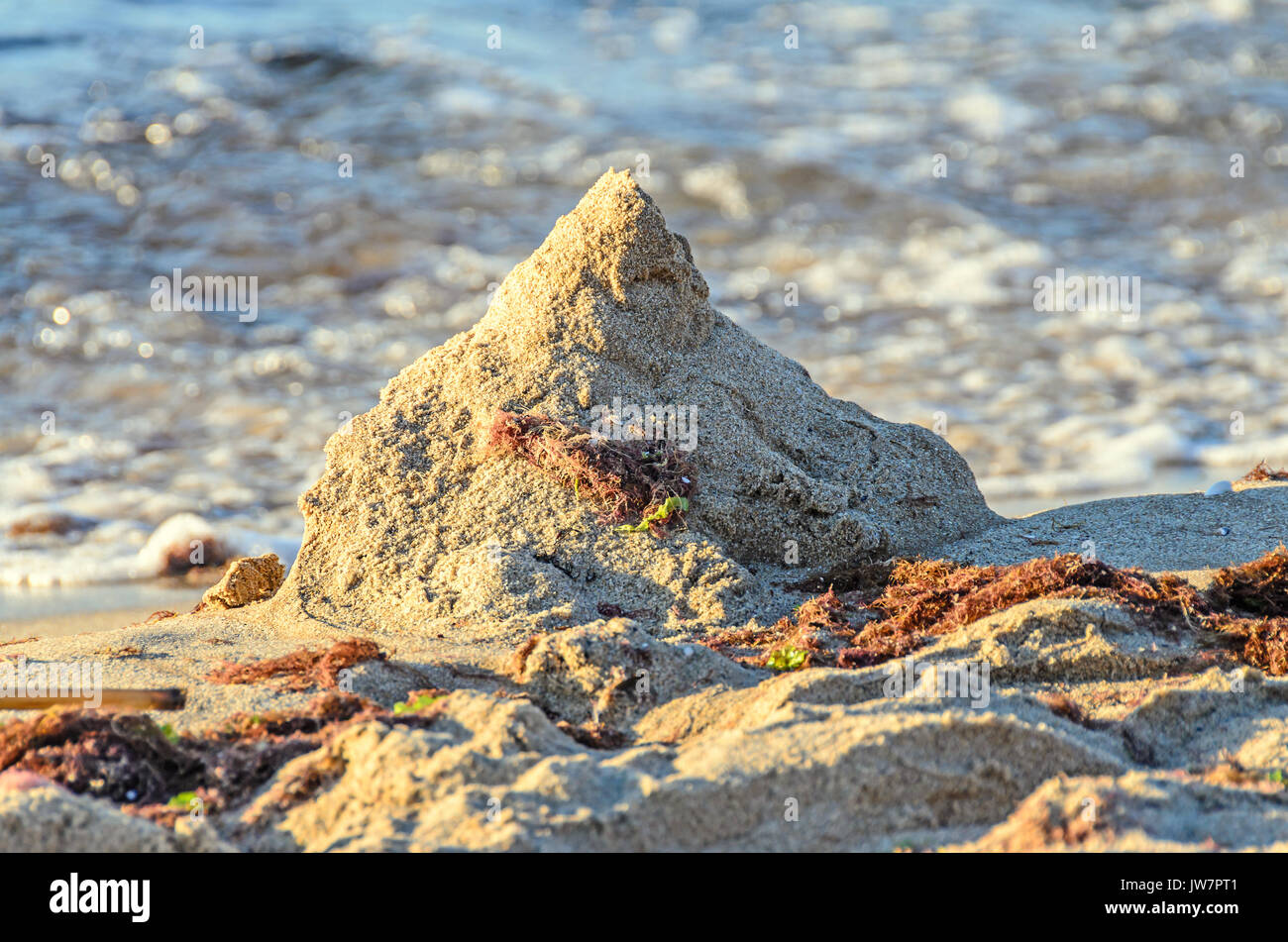 Sandcastle beach close up hi-res stock photography and images - Alamy