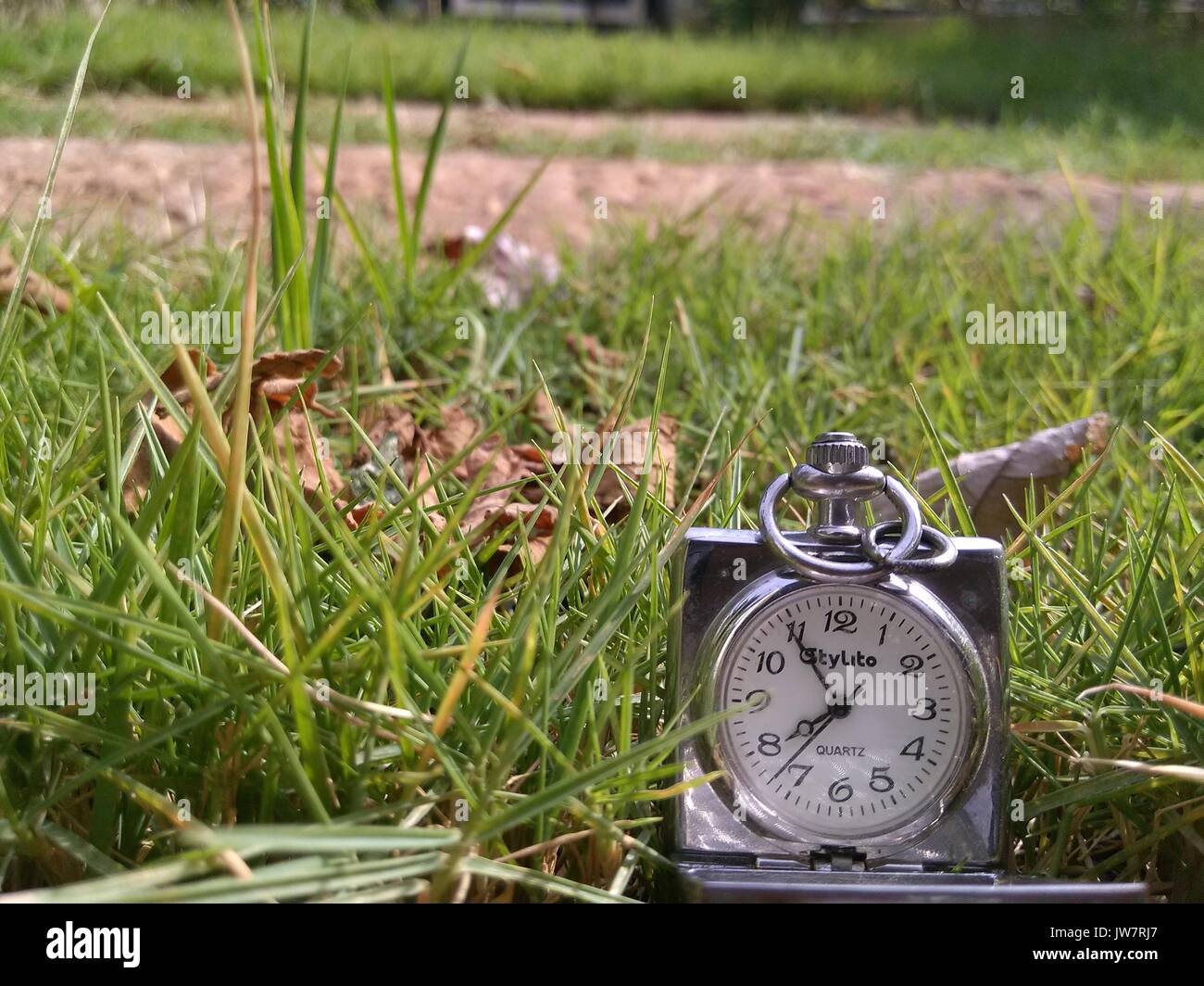 Zoysia grass hi-res stock photography and images - Alamy