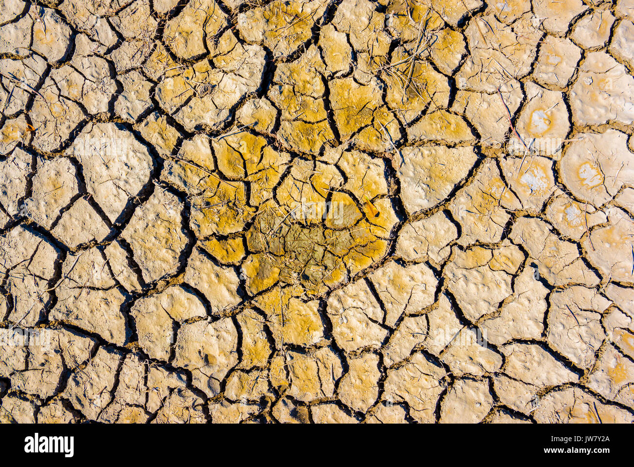 Top view of drought cracked soil texture.Dry mud background texture ...