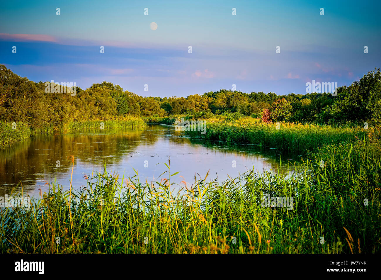 Summer clean river stream background hi-res stock photography and ...