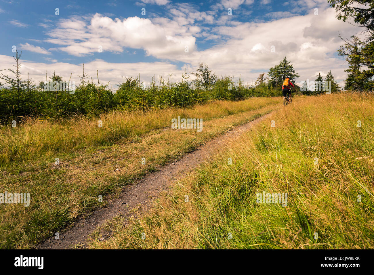 Mountain biker riding on bike in summer inspirational mountains ...