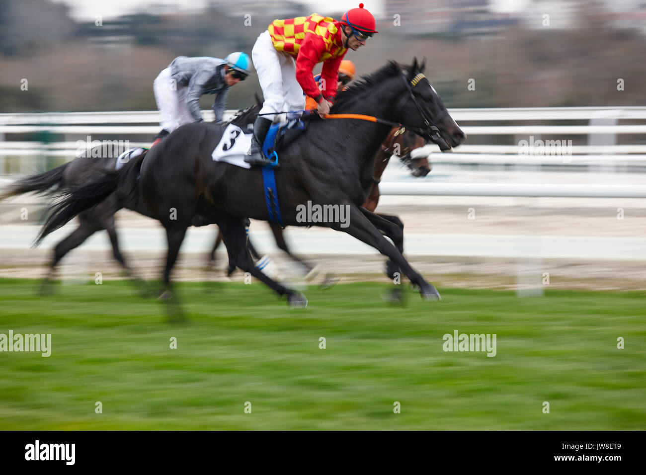 Horse race final rush. Competition sport. Hippodrome. Winner. Speed ...