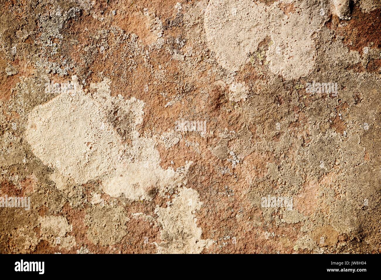 Stone background close up at high resolution Stock Photo - Alamy