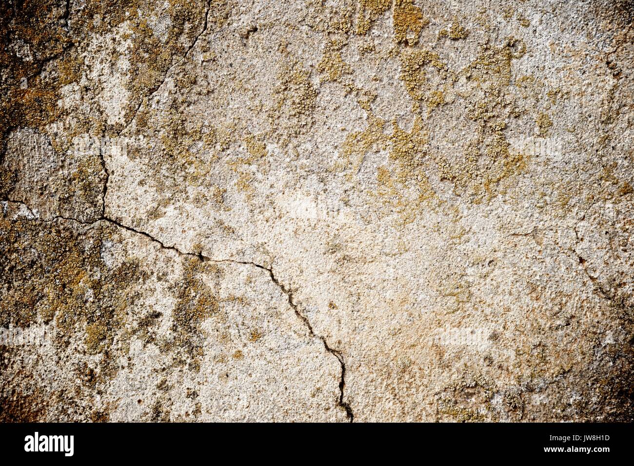 Concrete background close up at high resolution Stock Photo - Alamy