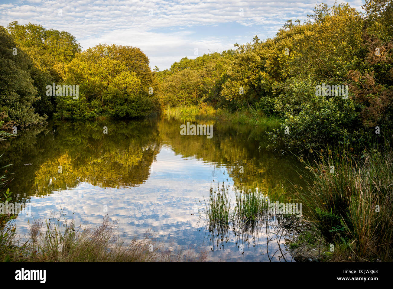 Ladock hi-res stock photography and images - Alamy