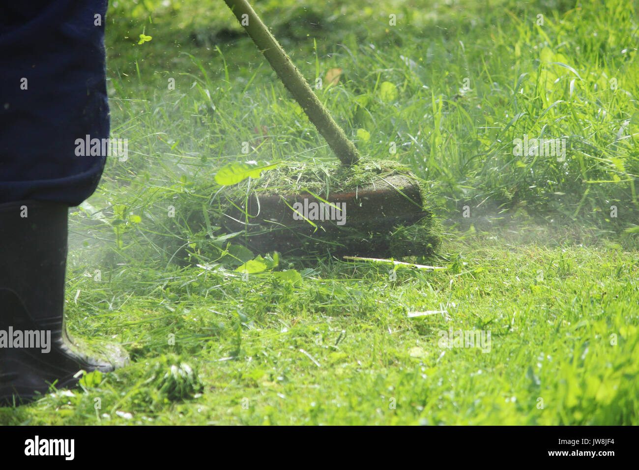 Worker mowing green grass with a trimming machine Stock Photo - Alamy