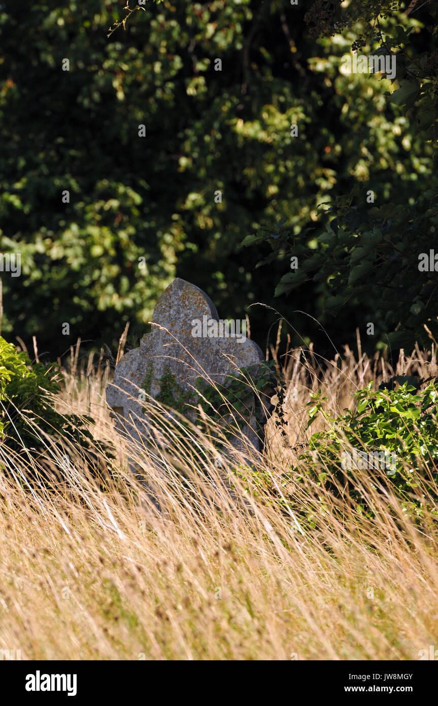 a gravestone memorial in a cemetery or graveyard with overgrown grass ...