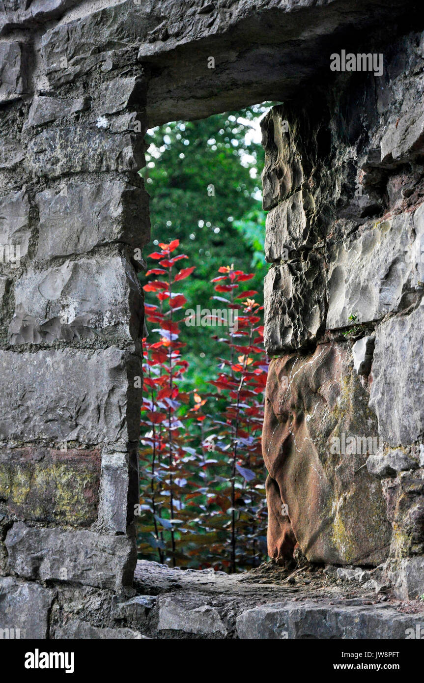 Ruthin Castle Ruthin High Resolution Stock Photography and Images - Alamy