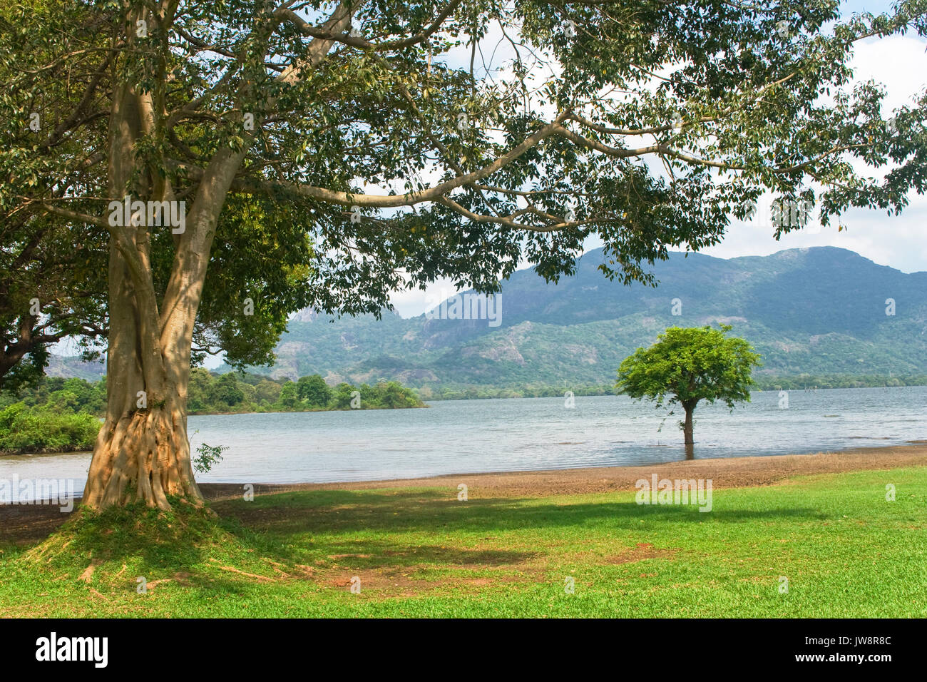 Sri Lanka.Dambula.Kandalama lake Stock Photo - Alamy