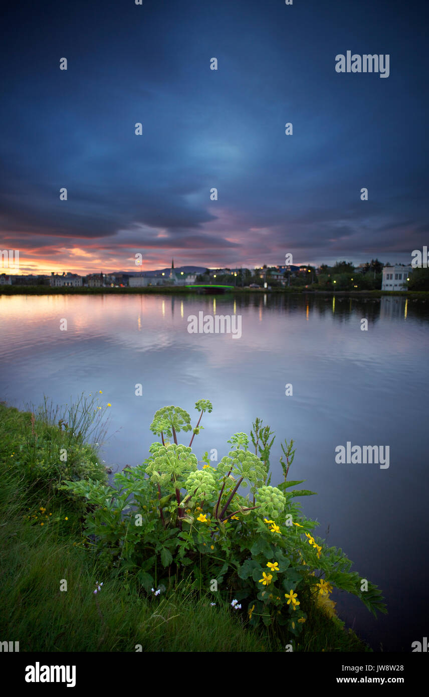 Rown hi-res stock photography and images - Alamy