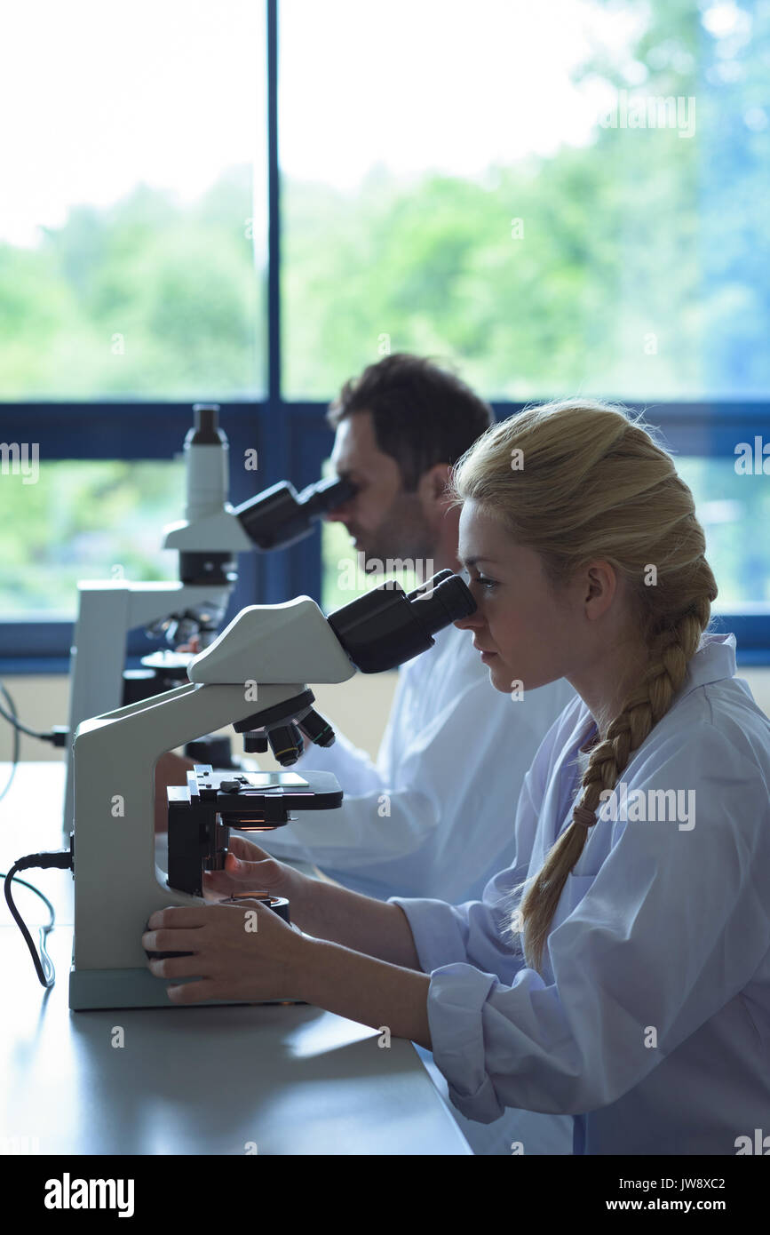 University students doing experiment on microscope in laboratory at ...