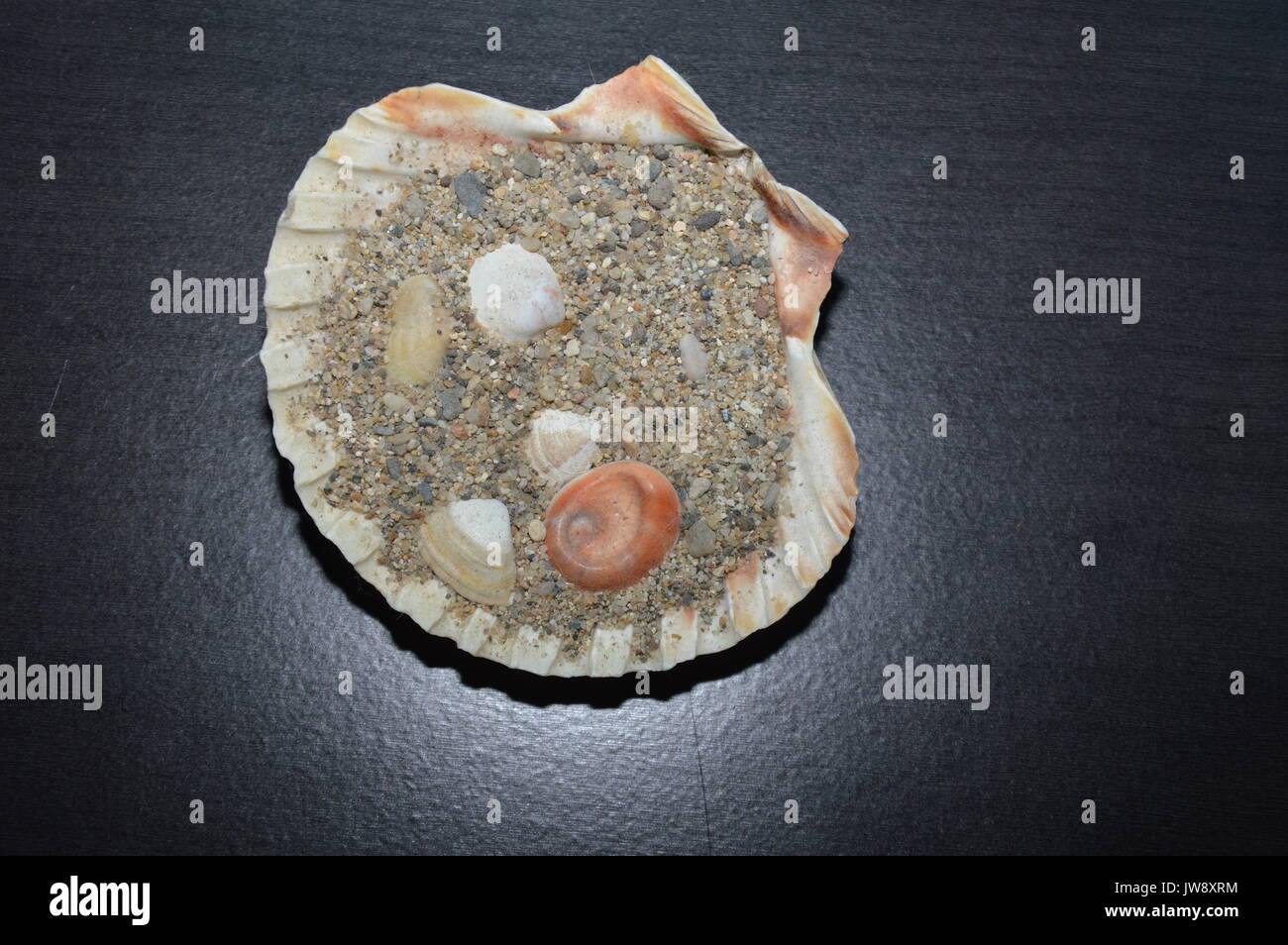 Shell filled with stones and sand hi-res stock photography and images ...