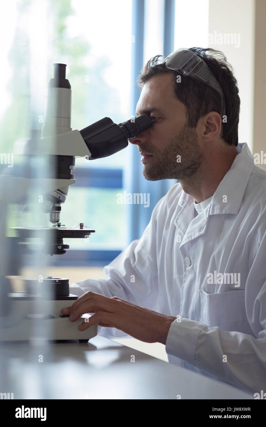 University student doing experiment on microscope in laboratory at ...