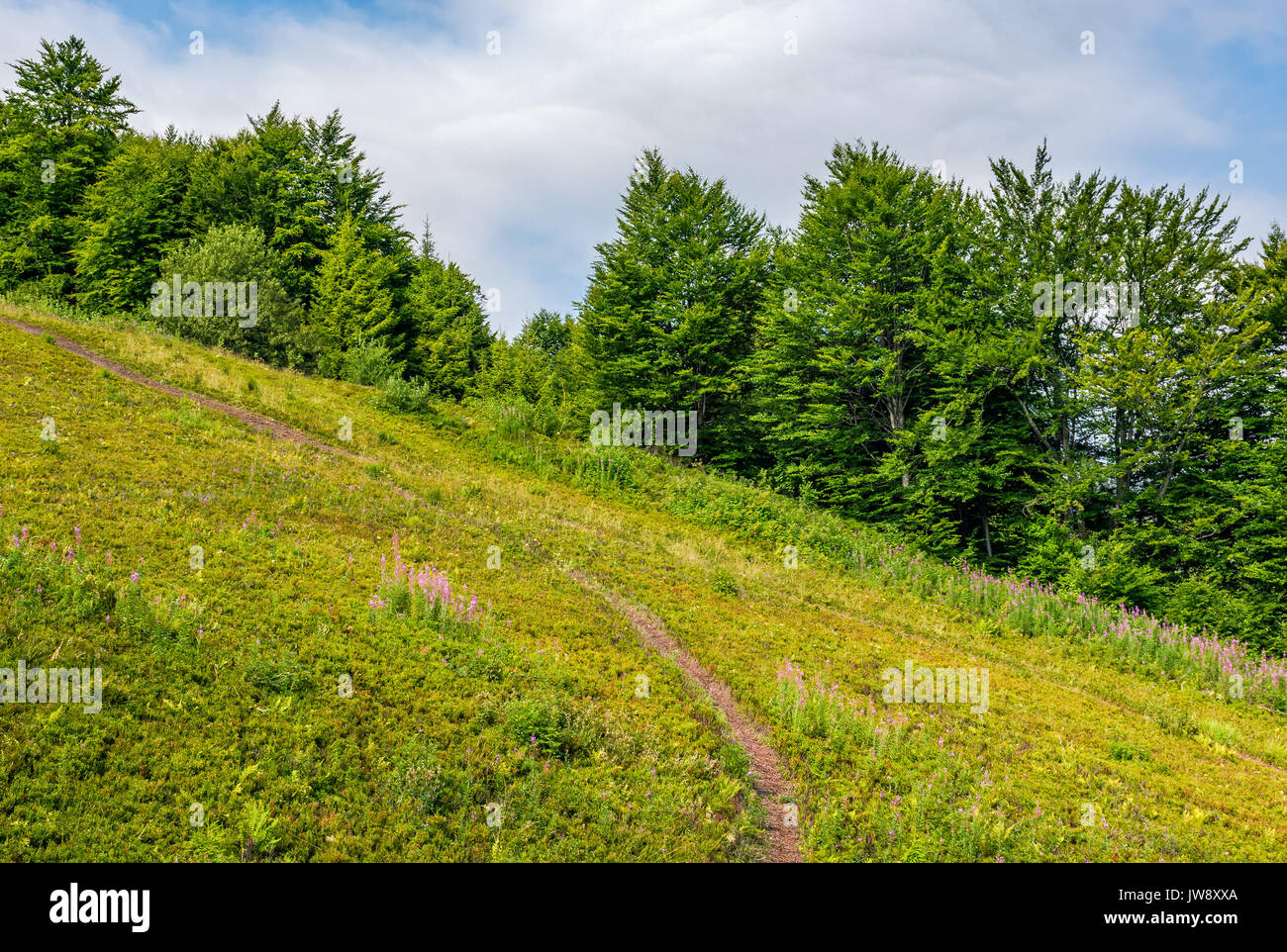 Slippery slope hi-res stock photography and images - Alamy