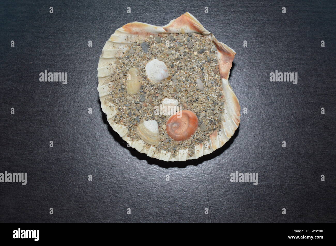 Shell filled with stones and sand hi-res stock photography and images ...