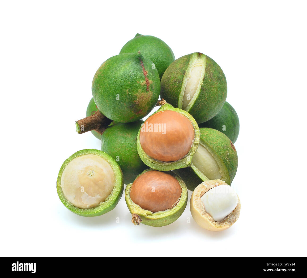 Macadamia isolated on white background Stock Photo - Alamy