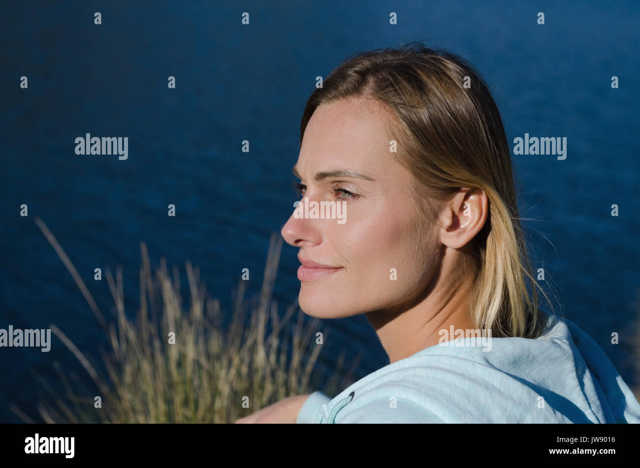 Sunny lakeshore view hi-res stock photography and images - Alamy