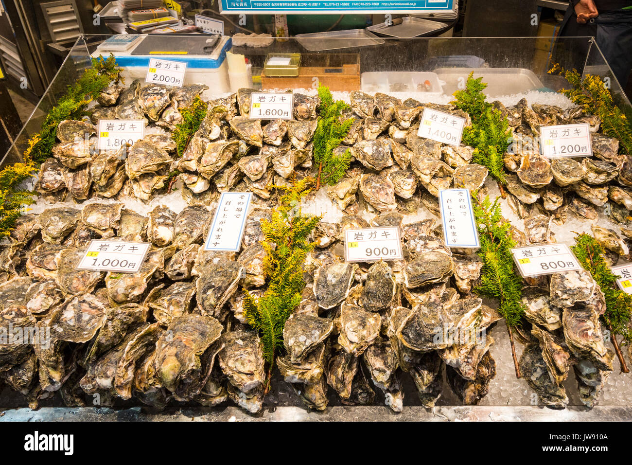 Japan, Kanazawa. Omi-cho fresh food indoor market. Fresh fish stall ...