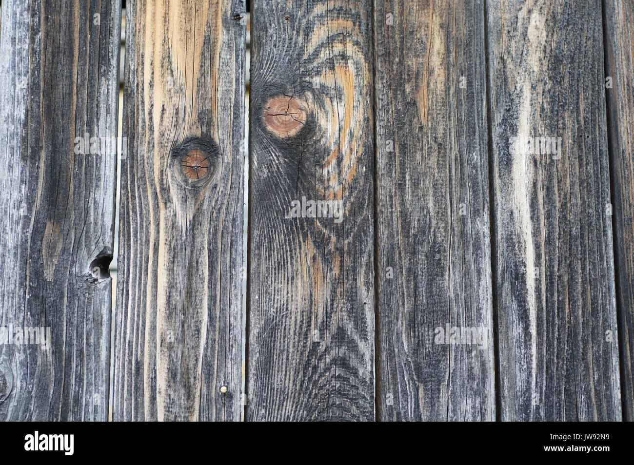 Creaking trees hi-res stock photography and images - Alamy