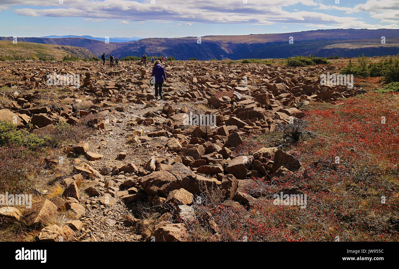 America, Canada, Québec, Gaspésie, Gaspesie Park, Albert Mont Stock ...