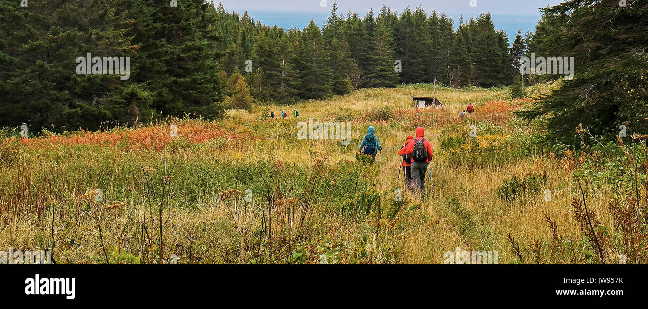 Quebec Forest Canada Scenery High Resolution Stock Photography and ...