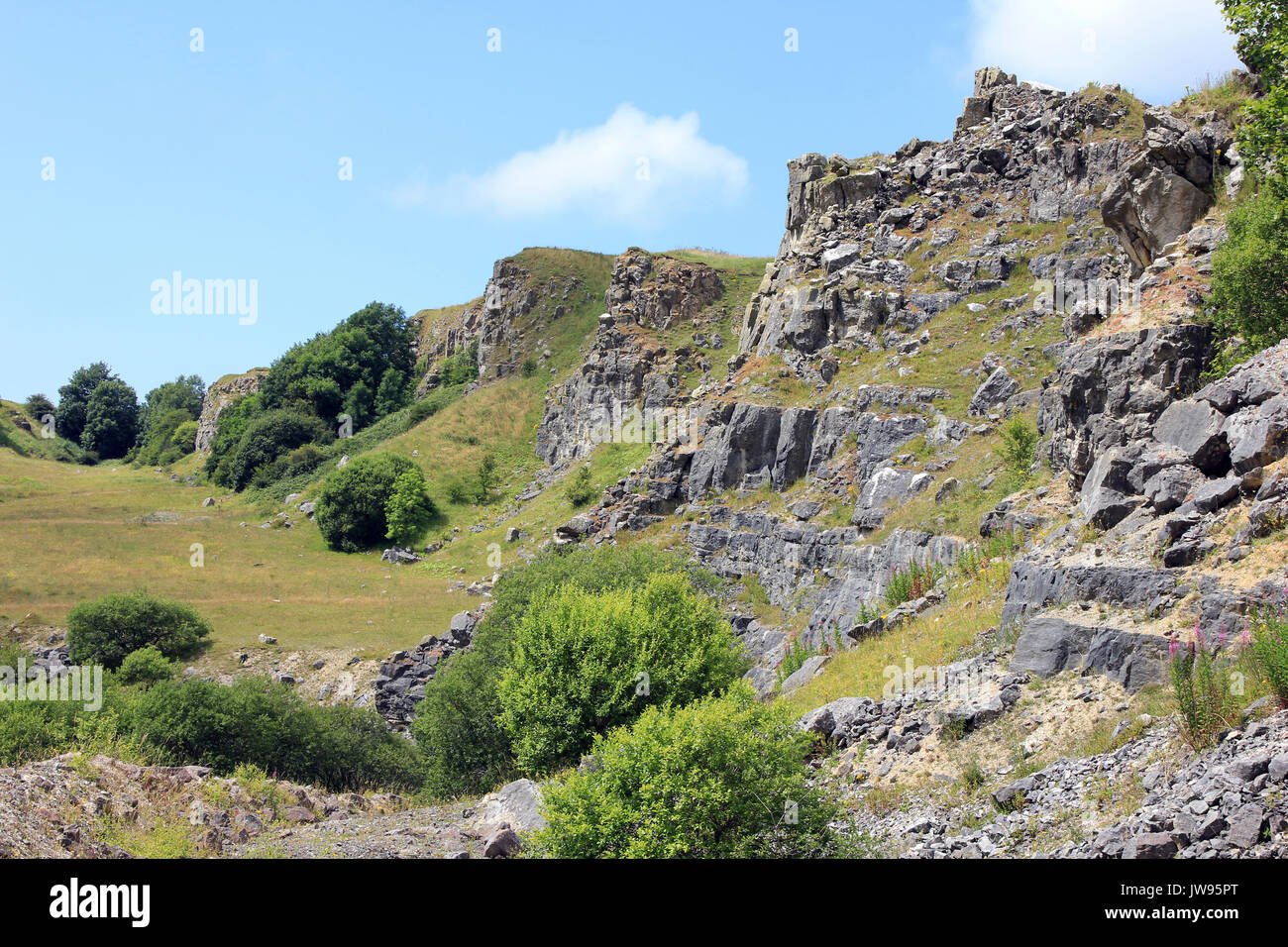 Abandoned Limestone Quarry at Minera now a North Wales Wildlife Trust ...