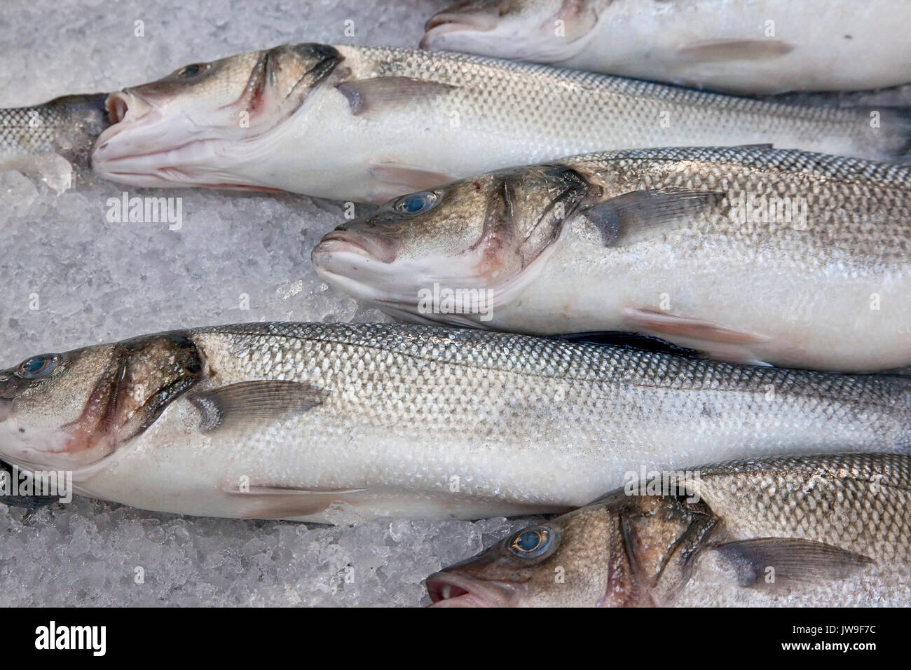 Ireland, North, Belfast, St George's Market interior, Display of fresh ...