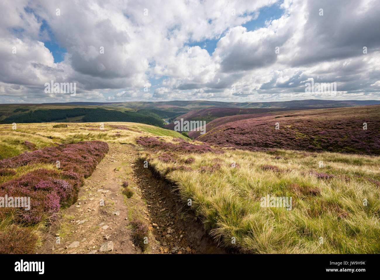 Birchinlee hi-res stock photography and images - Alamy