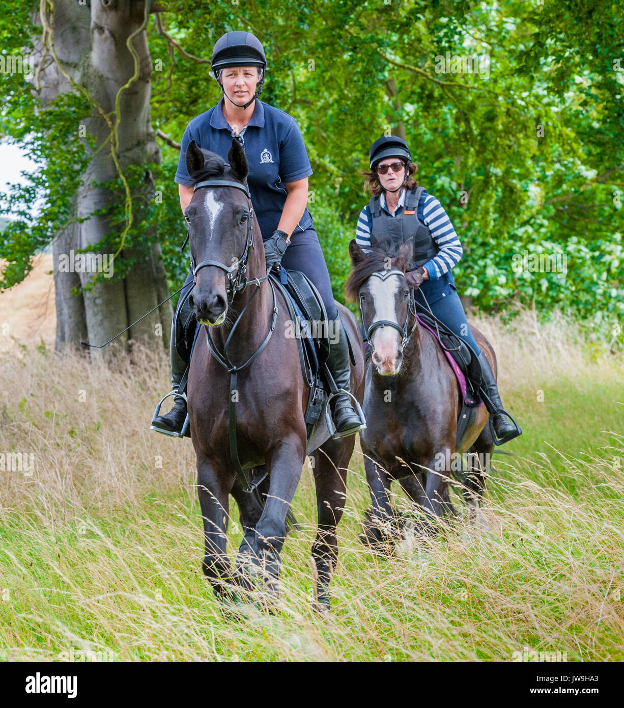 Two girls on ponies riding hi-res stock photography and images - Alamy