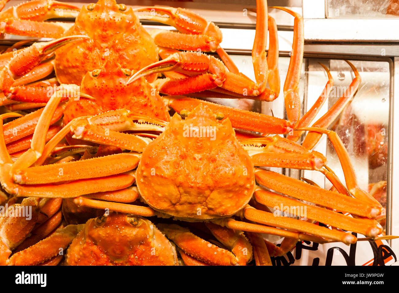 Large crabs hi-res stock photography and images - Alamy