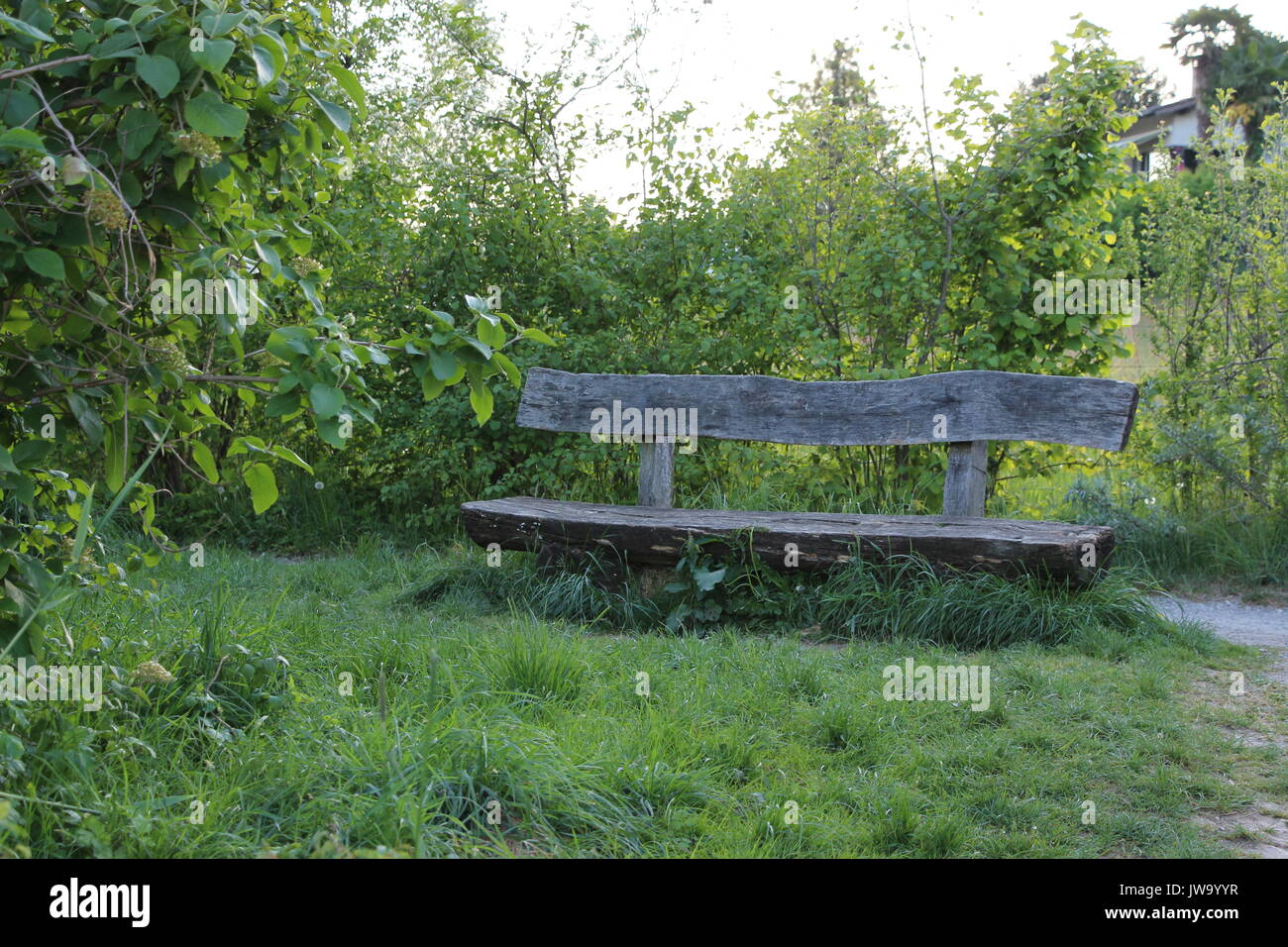 A wooden bench surranded by nature in Switzerland, Europe Stock Photo ...
