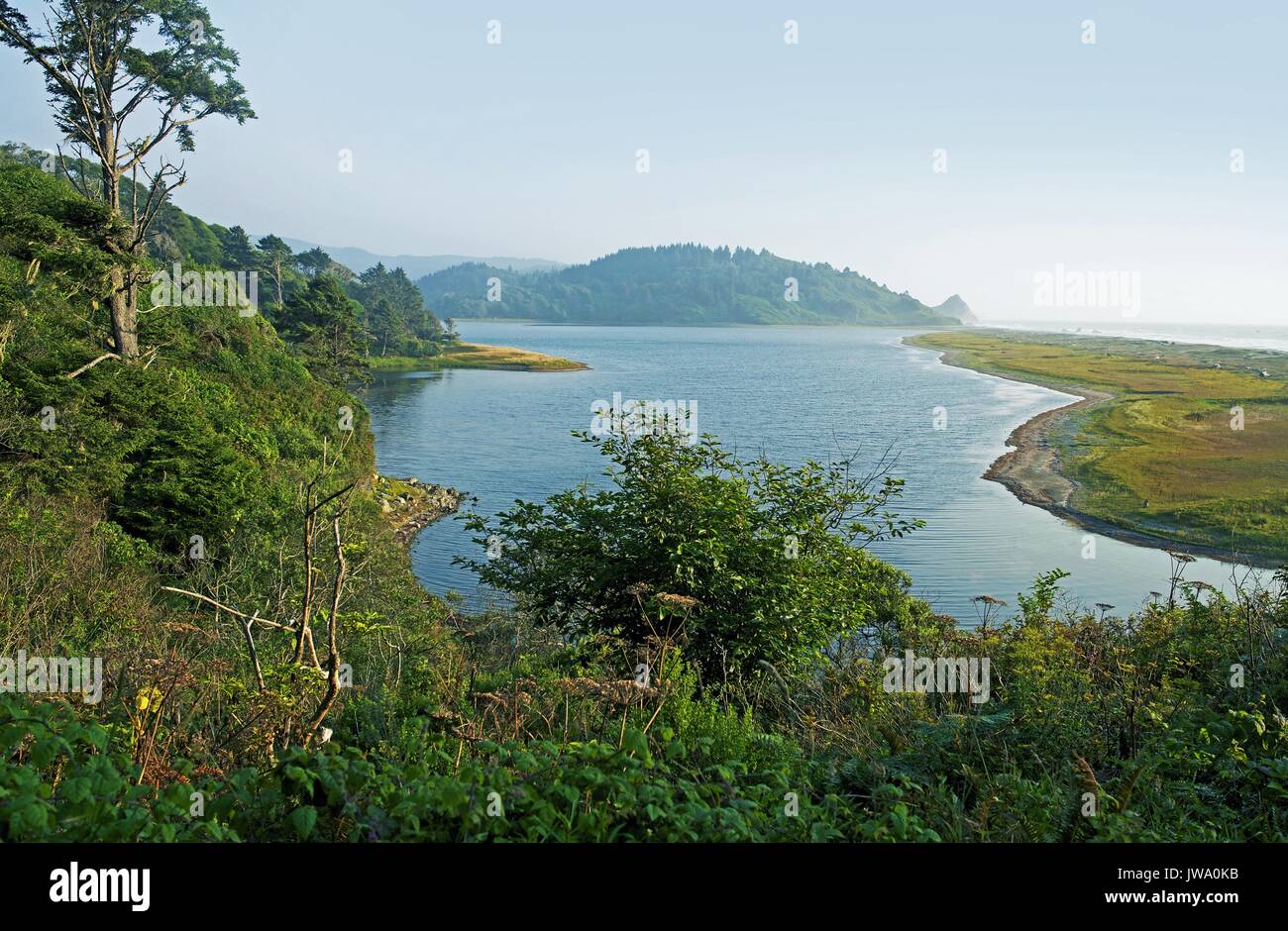 Northern California Coastal Landscape. Redwoods Area. Pacific Ocean ...