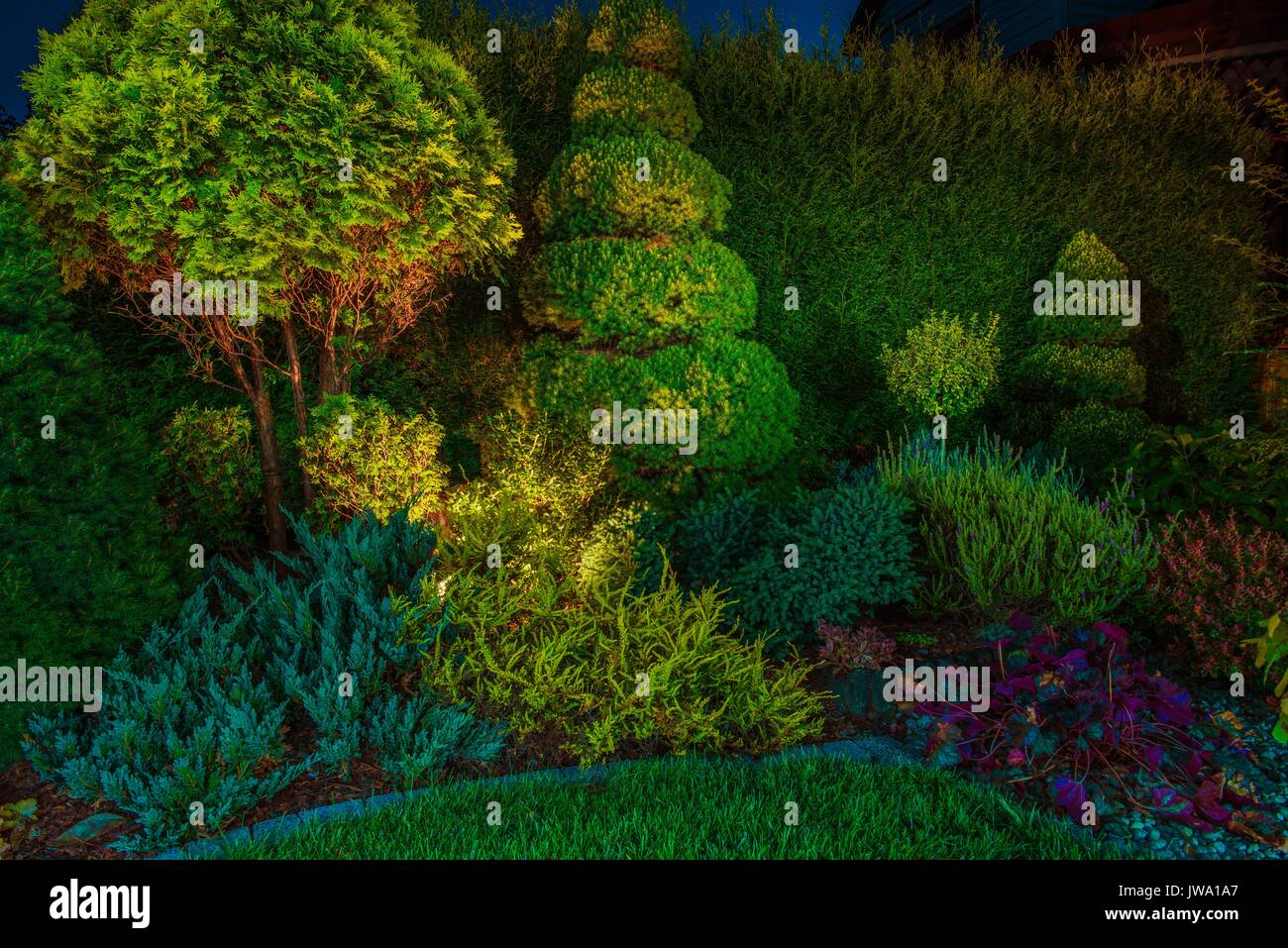 Backyard Garden Led Lighting Illumination. Beautiful Garden Illuminated ...