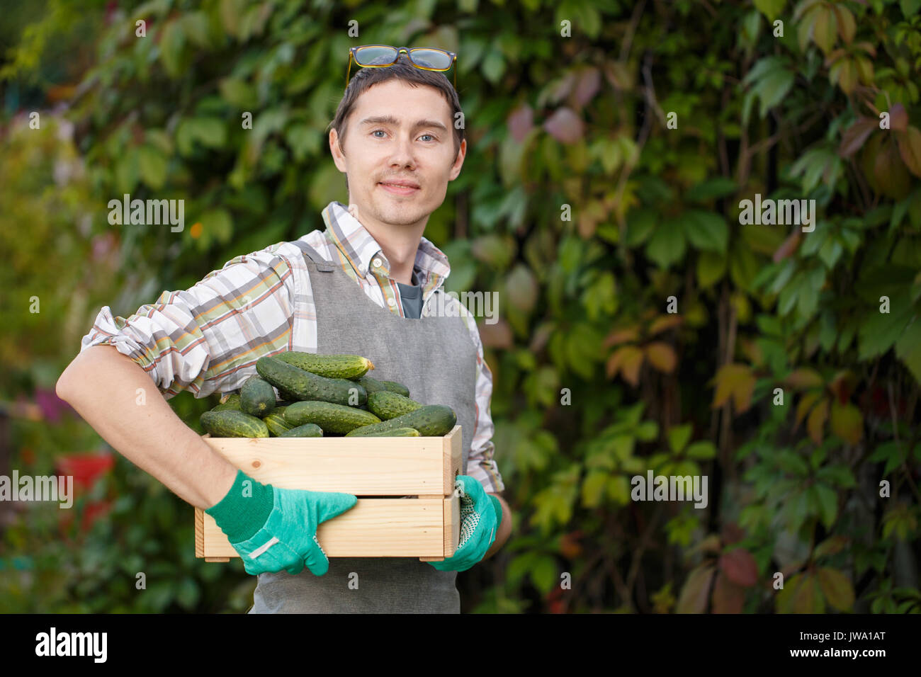 Uniform crop growth hi-res stock photography and images - Alamy