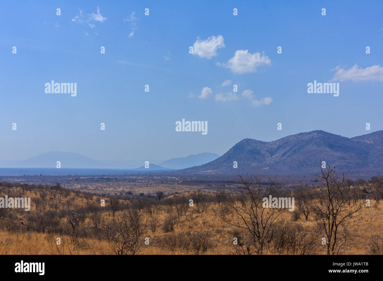Africa ruaha national park hi-res stock photography and images - Alamy