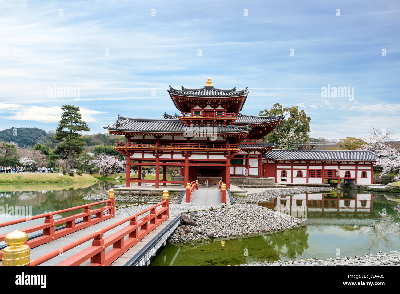 Byodo-in Temple in Uji, Kyoto, Japan during spring. Cherry blossom in ...