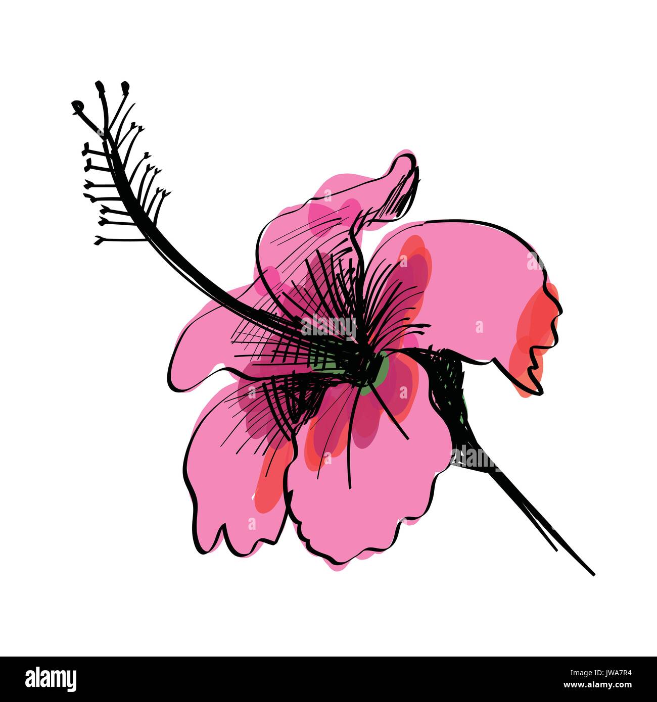 The abstract of sketch flower hand drawn Stock Vector Image & Art - Alamy