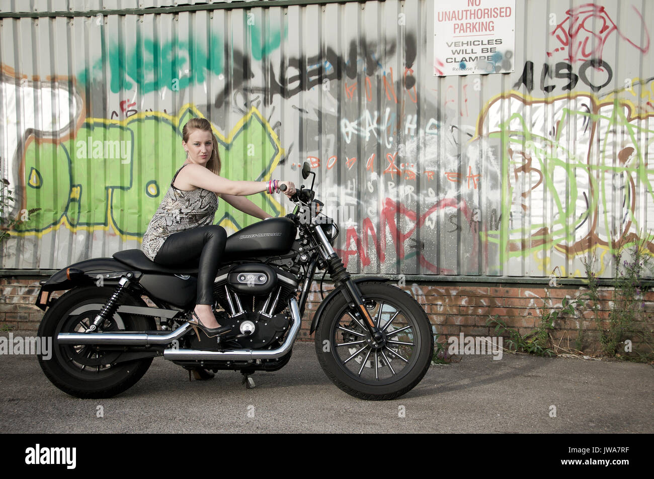 Pretty girl on a Harley Davidson motorcycle with a graffiti covered ...