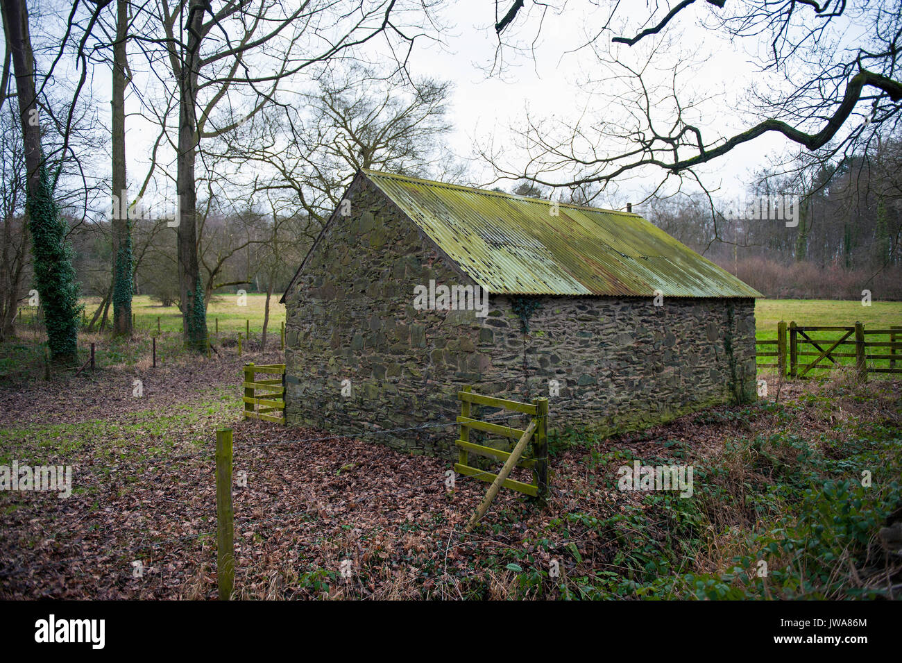 Swithland hi-res stock photography and images - Alamy