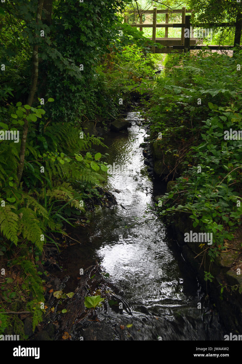 Tehidy Country Park Gardens in Cornwall Stock Photo - Alamy