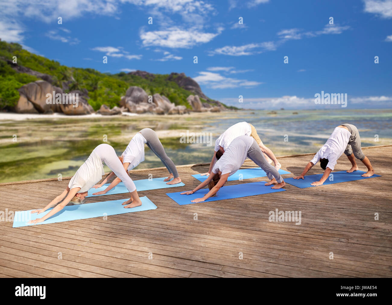 Yoga dog group hi-res stock photography and images - Alamy