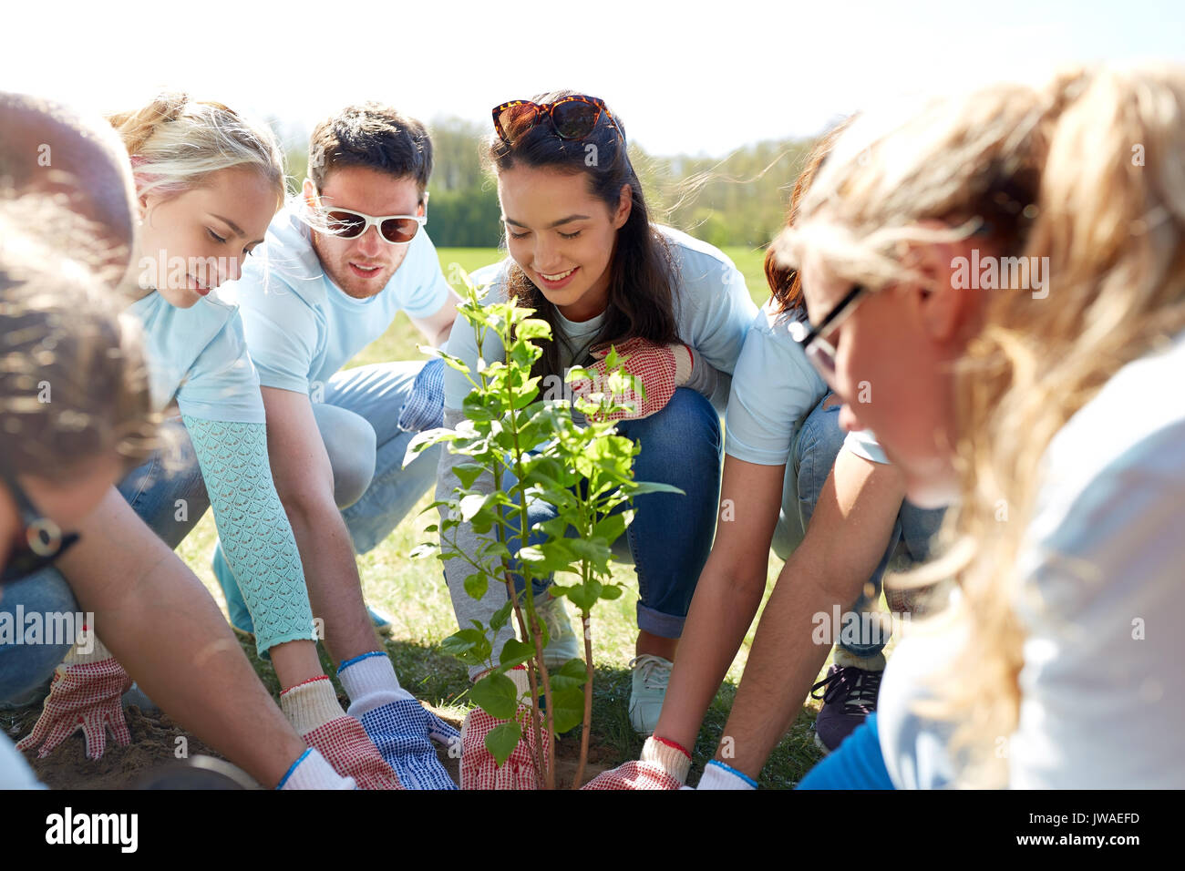 Community tree planting teen hi-res stock photography and images - Alamy