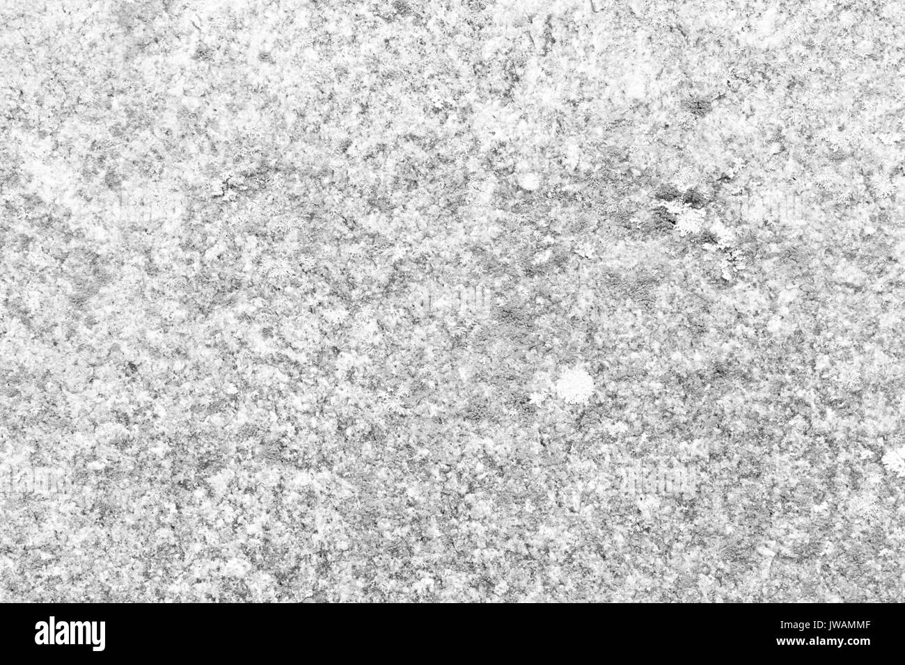 White stone surface as background. Abstract white texture Stock Photo ...