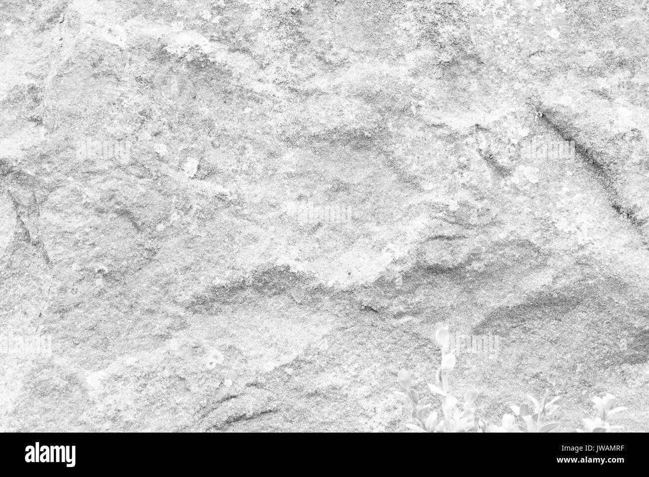 White stone surface as background. Abstract white texture Stock Photo ...