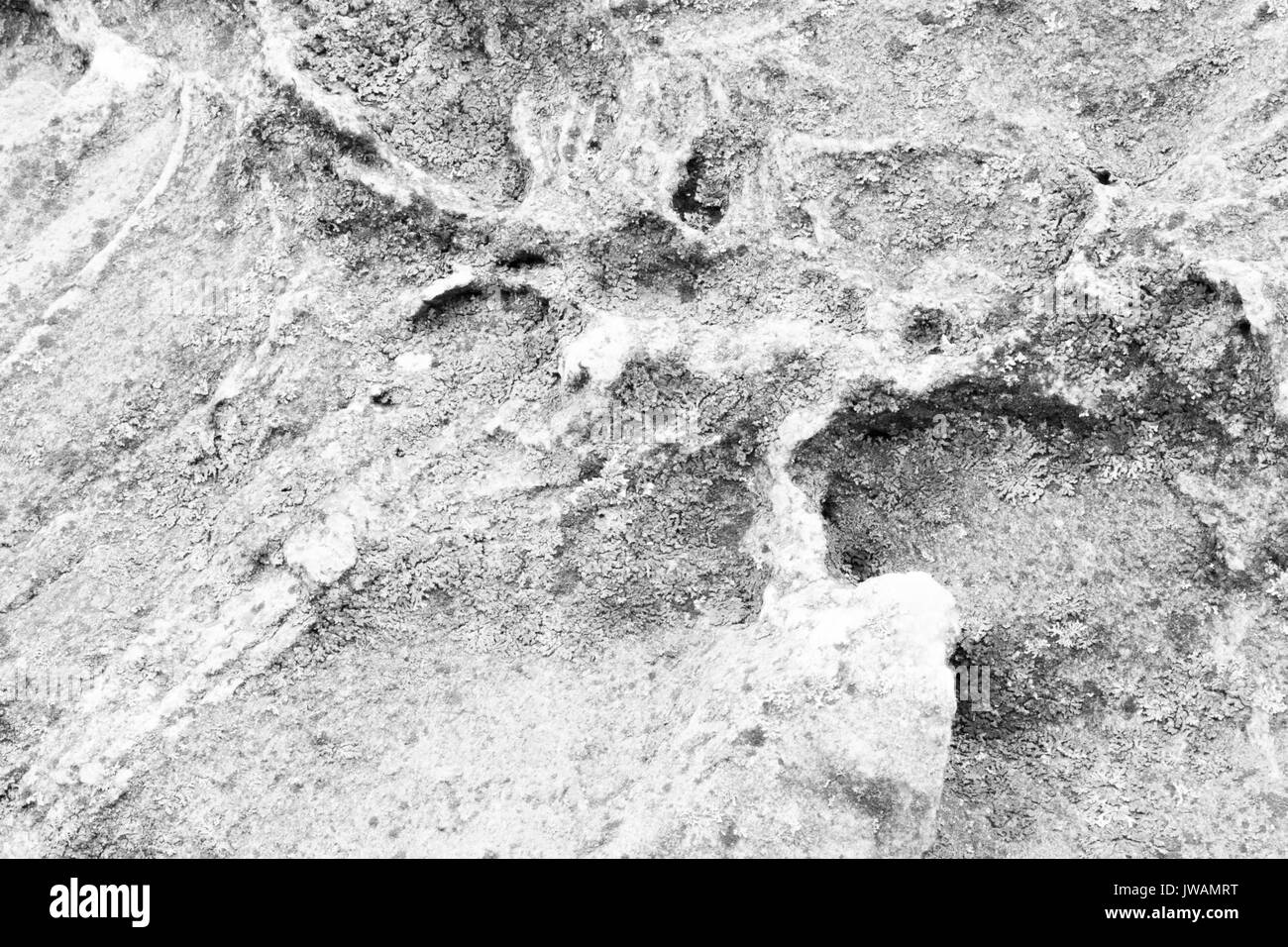 White stone surface as background. Abstract white texture Stock Photo ...