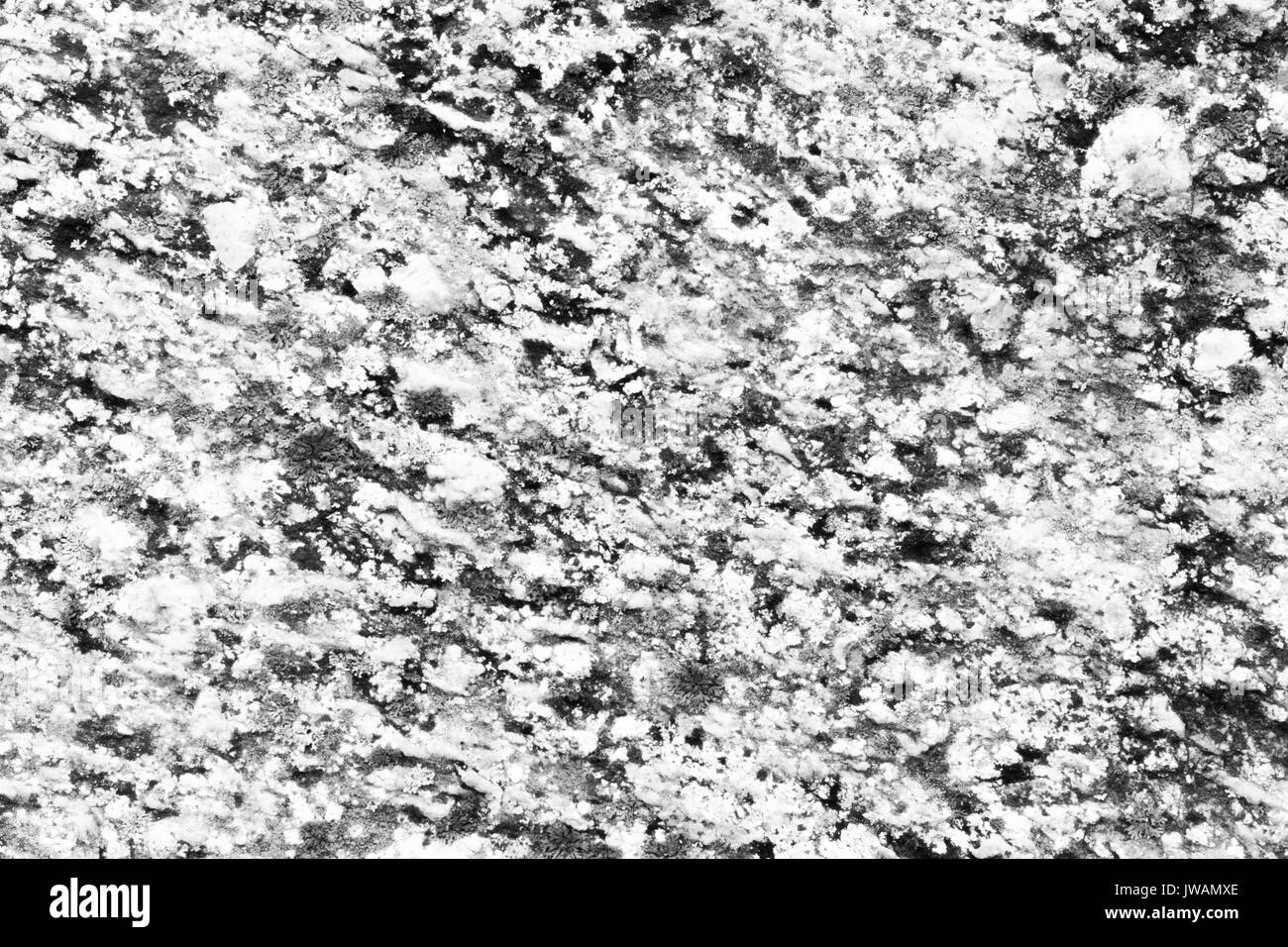White stone surface as background. Abstract white texture Stock Photo ...