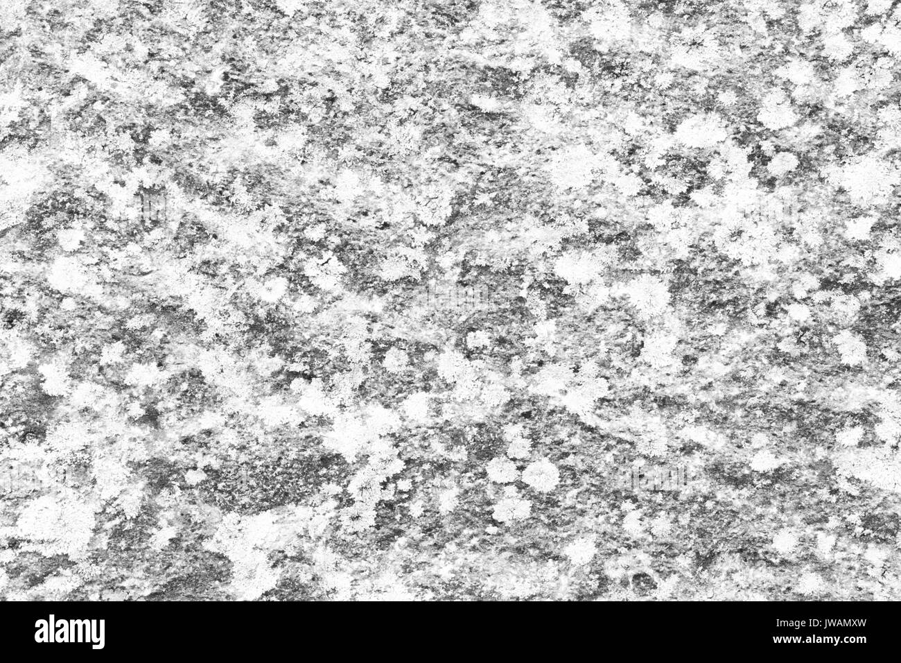 White stone surface as background. Abstract white texture Stock Photo ...