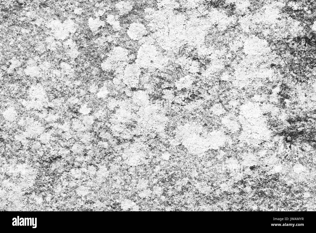 White stone surface as background. Abstract white texture Stock Photo ...