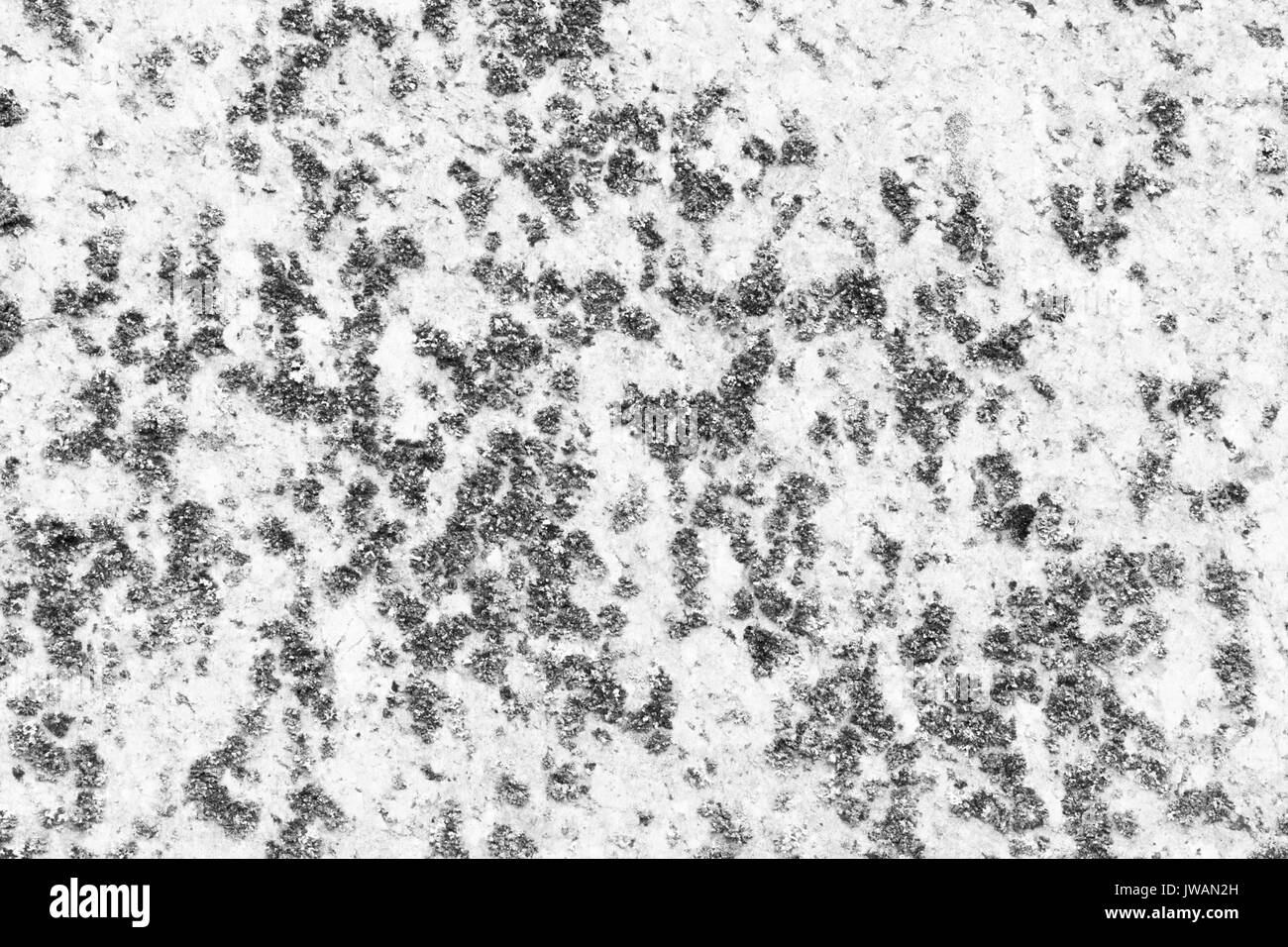 White stone surface as background. Abstract white texture Stock Photo ...